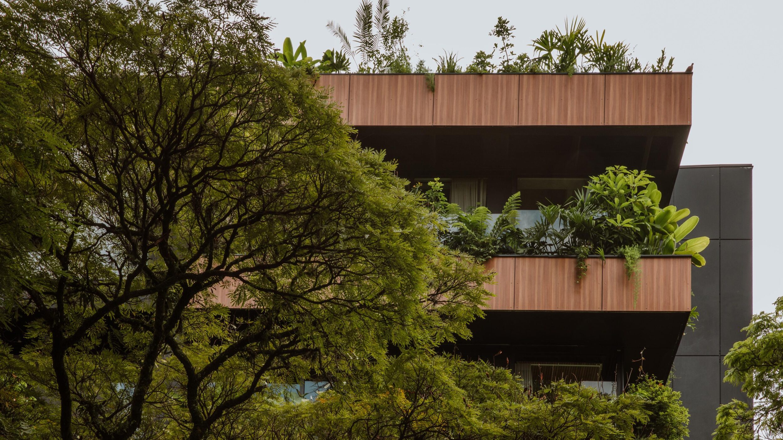 Edificio Paz / Delvalle Estudio +Amalia Ramírez Estudio de Arquitectura — Entre Estilos